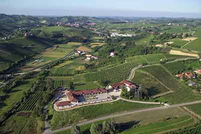 Angelo Negro - The Wine Telegraph